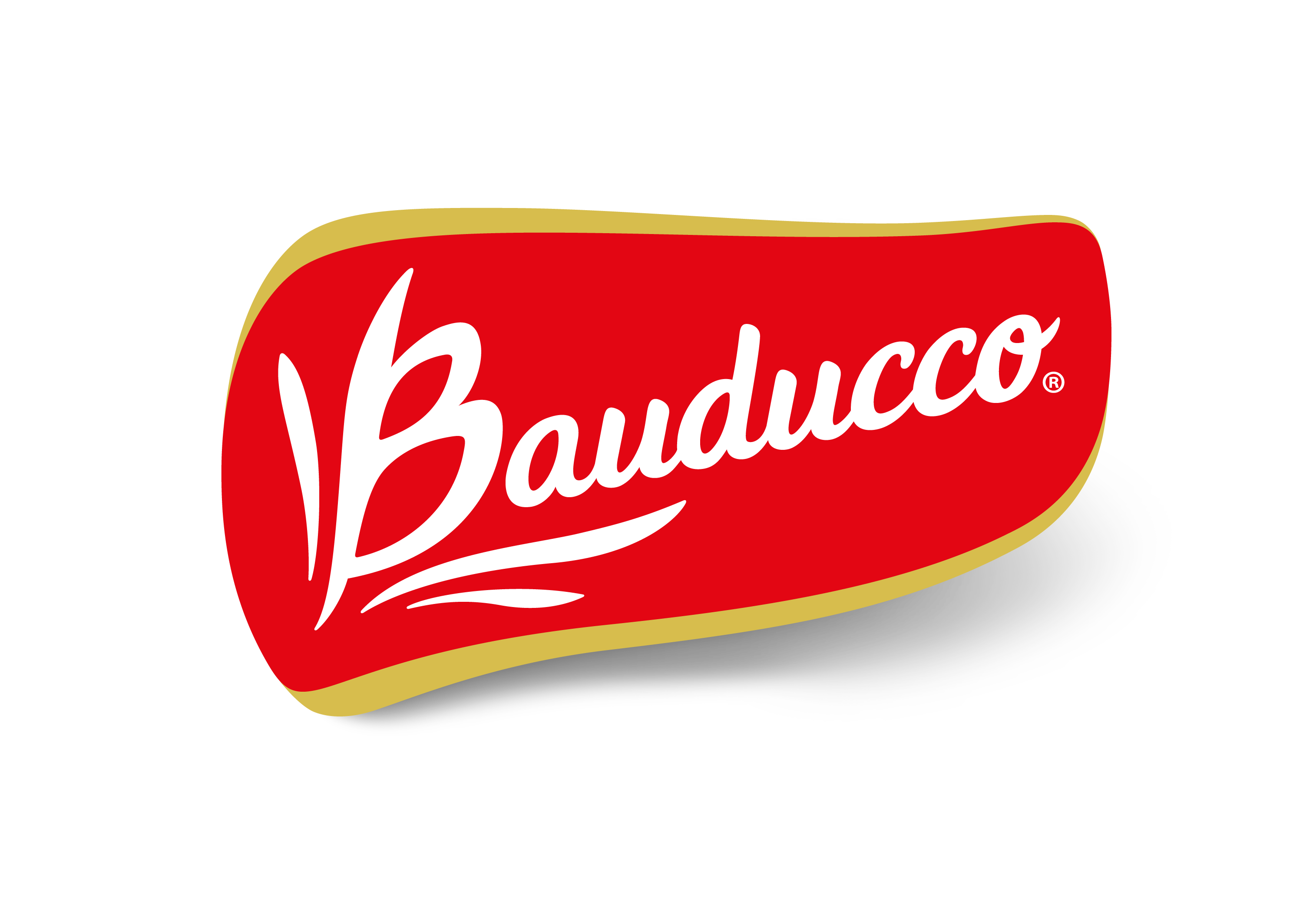 Site Bauducco